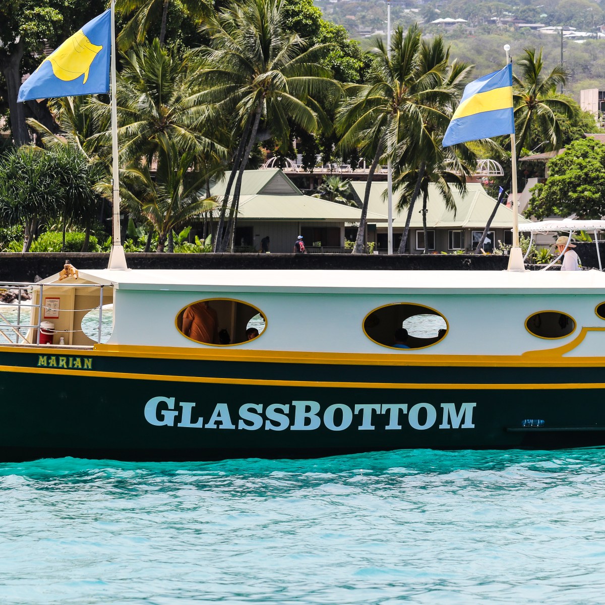 Glass Bottom Boat Kona